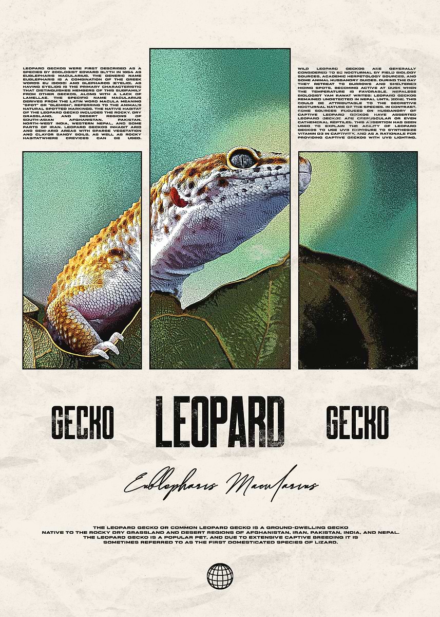 'Leopard Gecko Poster' Poster, picture, metal print, paint by Jon ...