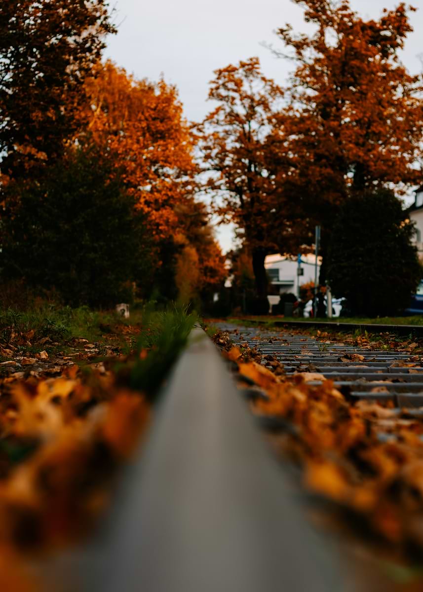 'Autumn Train Tracks' Poster, picture, metal print, paint by Johannes ...