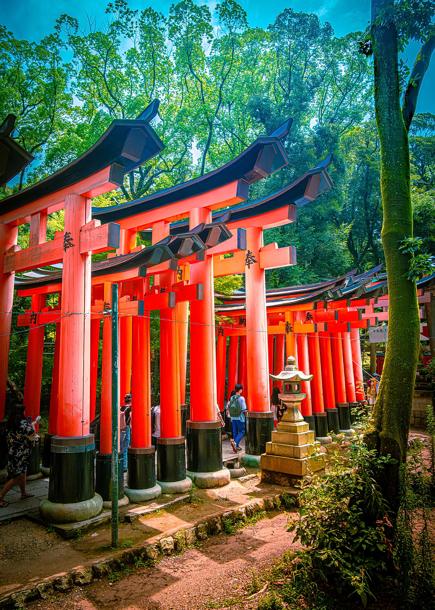'Fushimi Inari Shrine Torii Gates' Poster, picture, metal print, paint ...