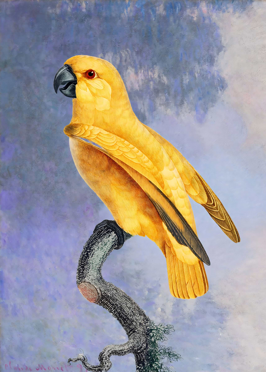 'Yellow Parrot on Branch' Poster, picture, metal print, paint by ...
