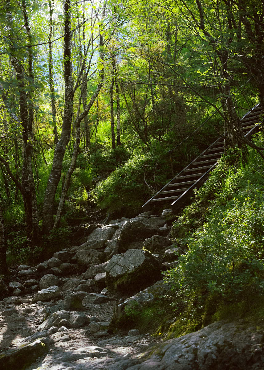 'The Path Beyond' Poster, picture, metal print, paint by Visuals Of ...