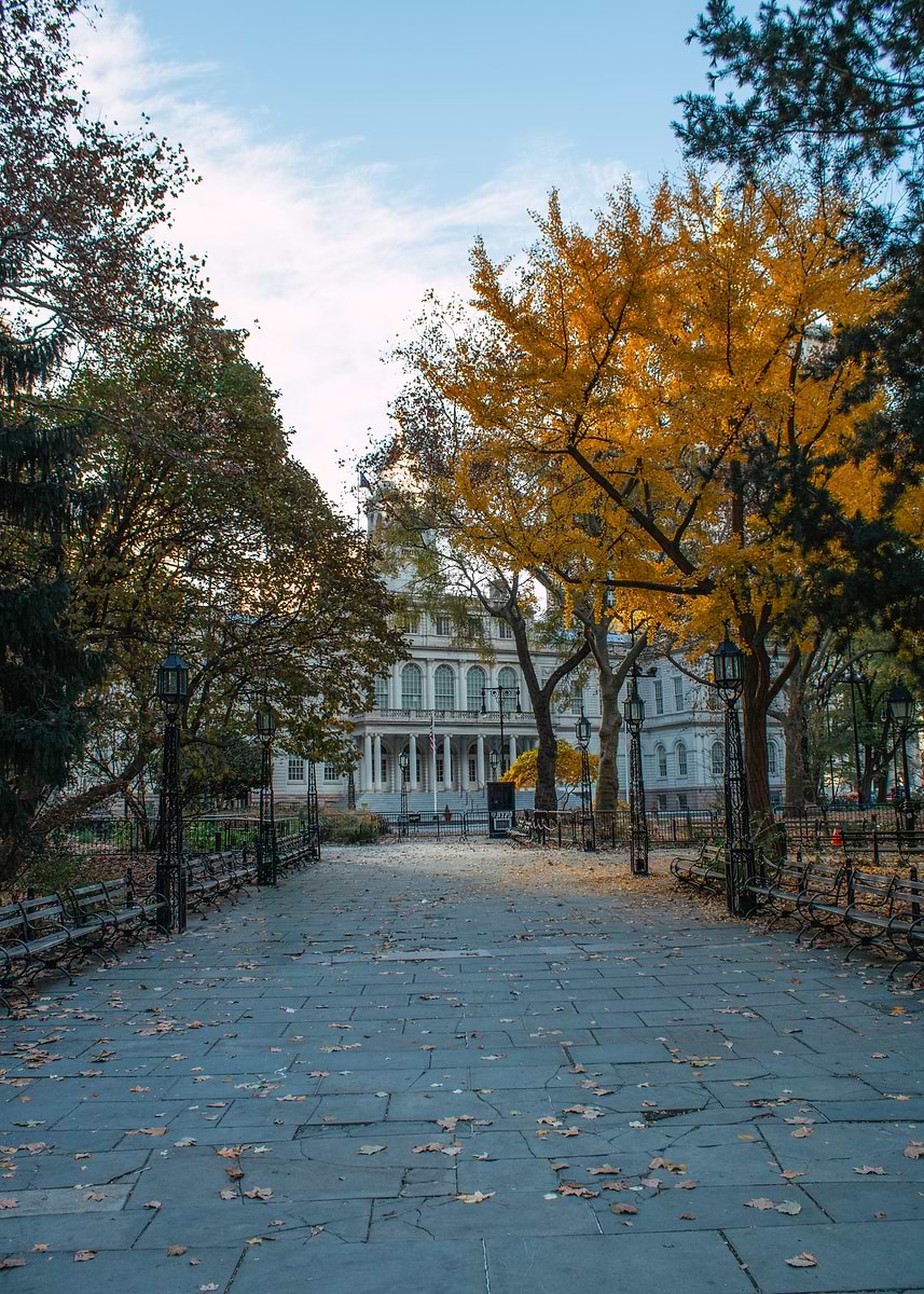 'Autumn Path to City Hall' Poster, picture, metal print, paint by ...