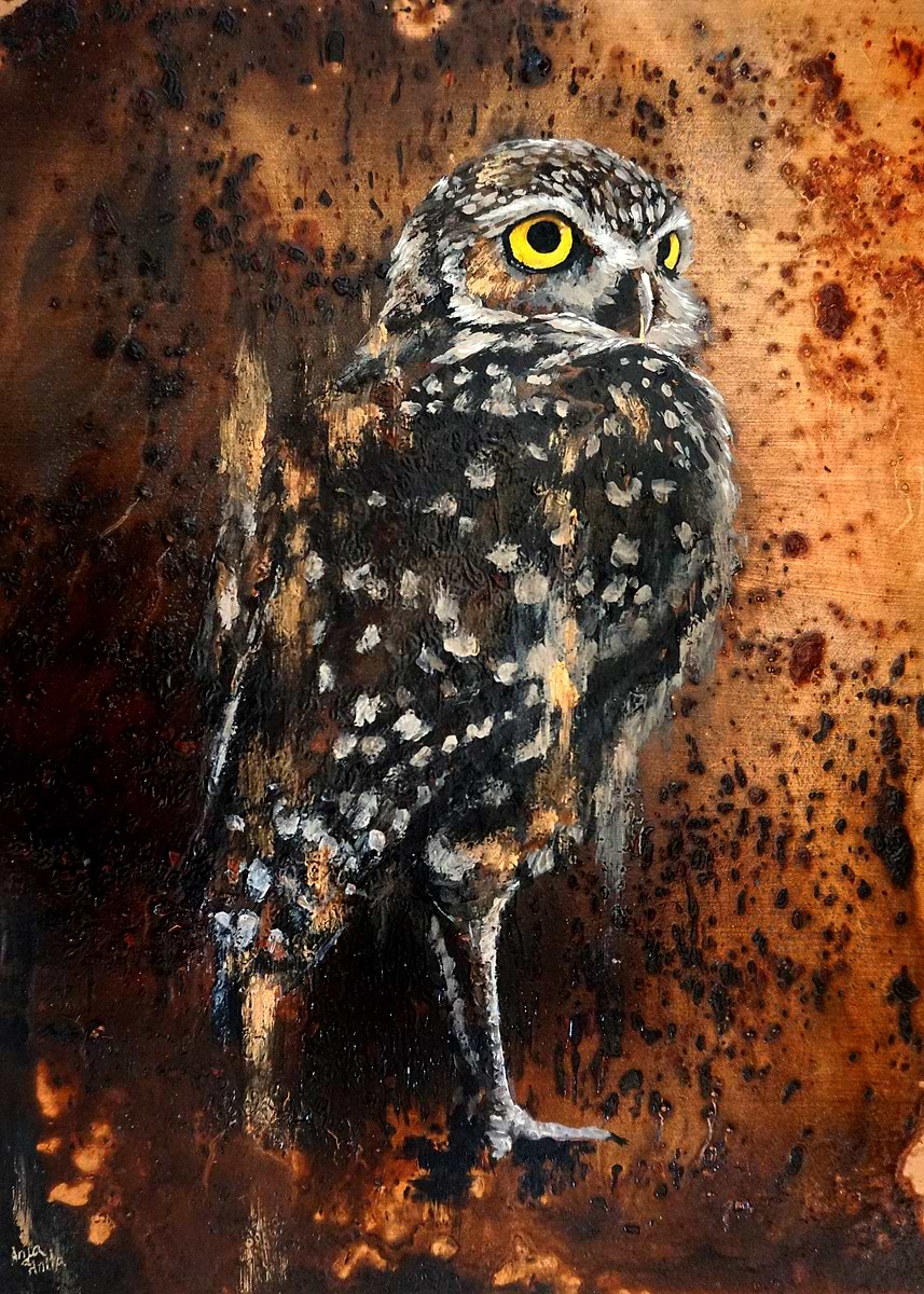'Burrowing Owl' Poster, picture, metal print, paint by AniaArt | Displate
