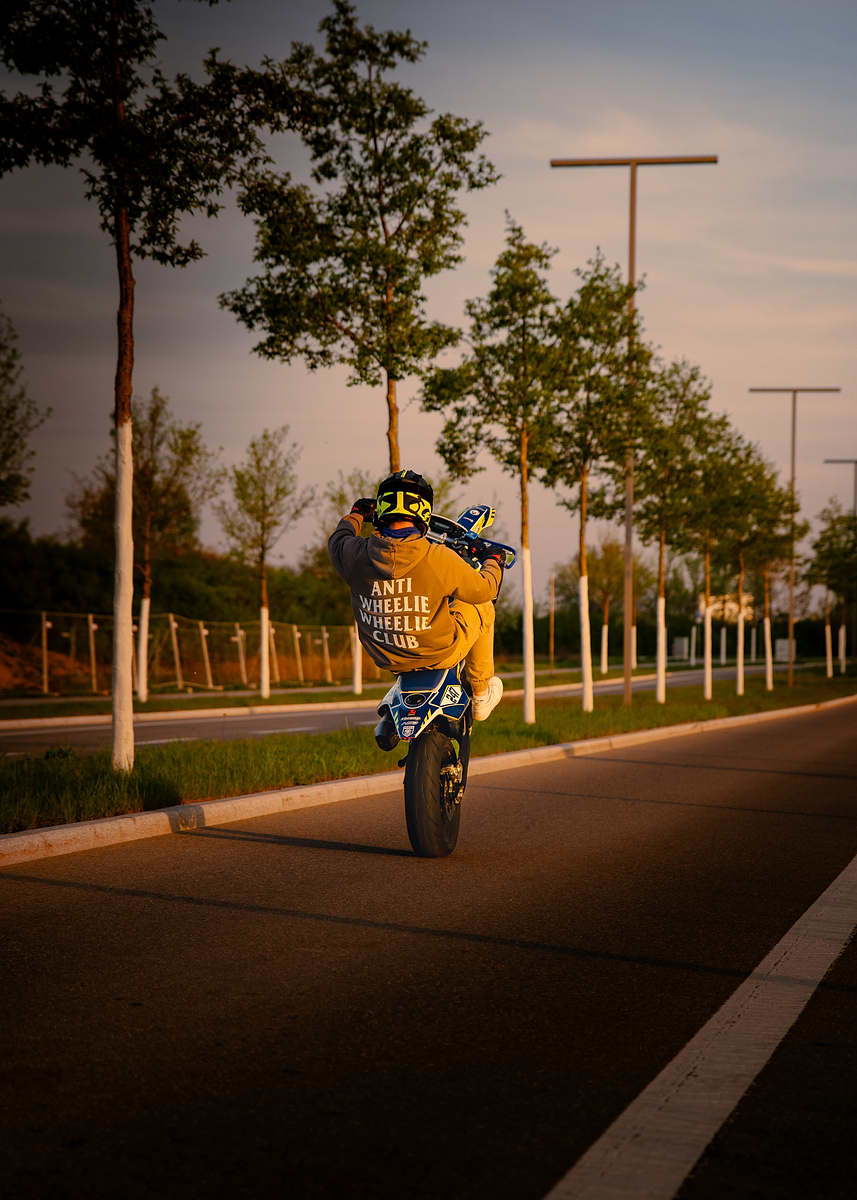 'Motorcycle Wheelie' Poster, picture, metal print, paint by Paul | Displate