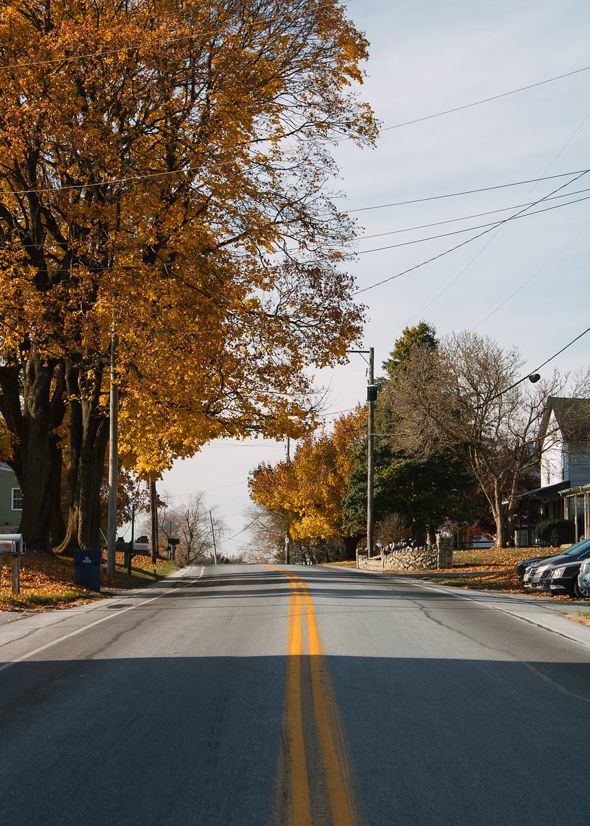 'Autumn Road' Poster, picture, metal print, paint by Hendrik Zahn ...