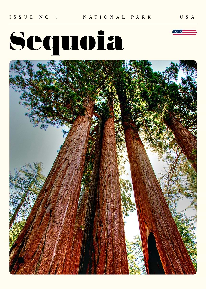 'Sequoia National Park Travel Art Poster' Poster, picture, metal print ...