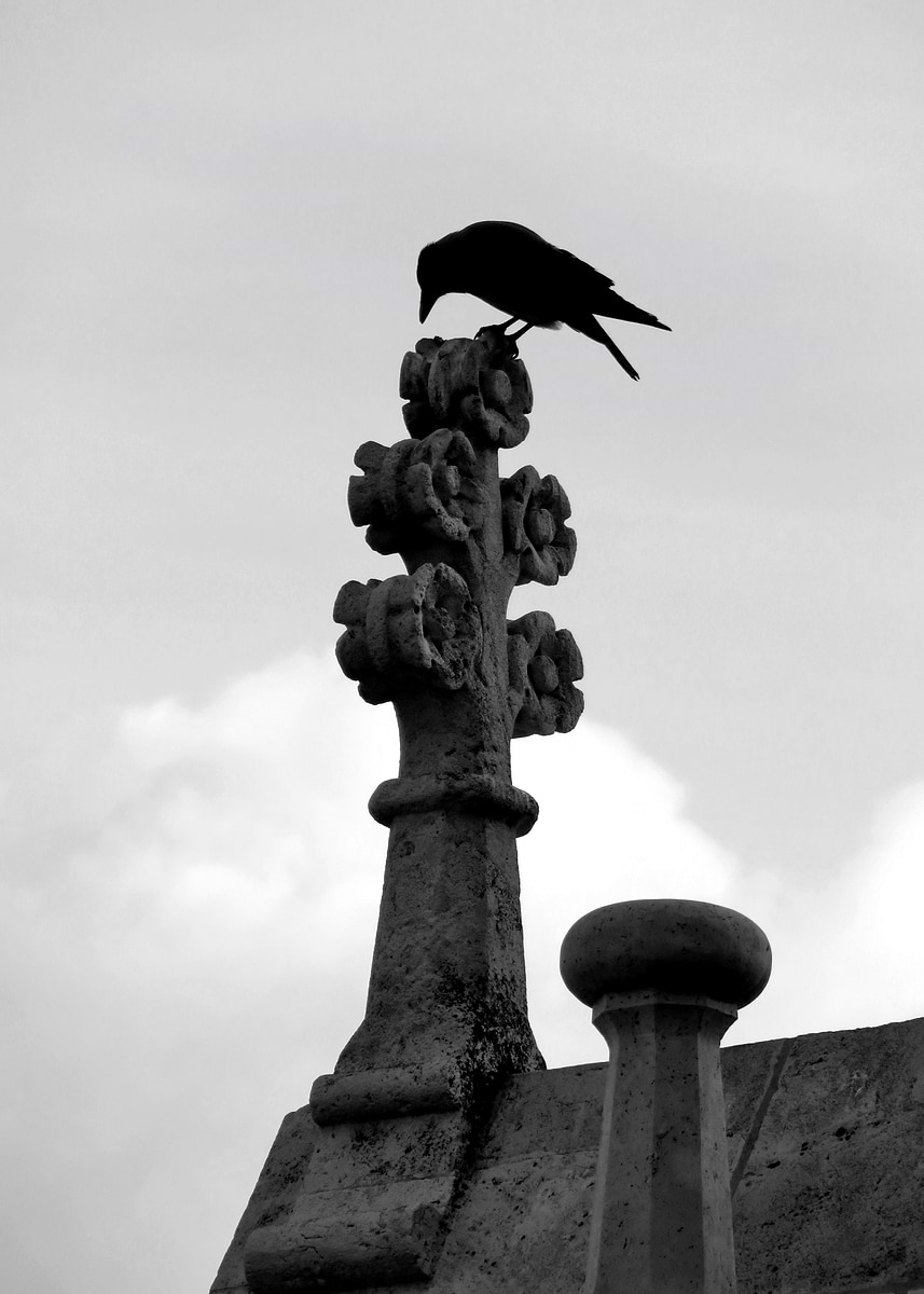 'The Raven and the Cross' Poster, picture, metal print, paint by Detty ...