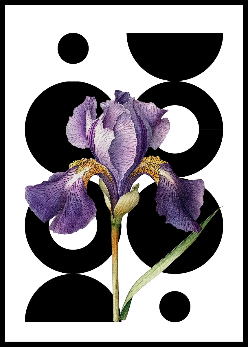 'Purple Iris with Geometric Shapes' Poster, picture, metal print, paint ...
