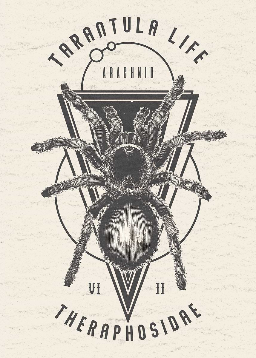 'Tarantula Spider Abstract' Poster, picture, metal print, paint by Jon ...