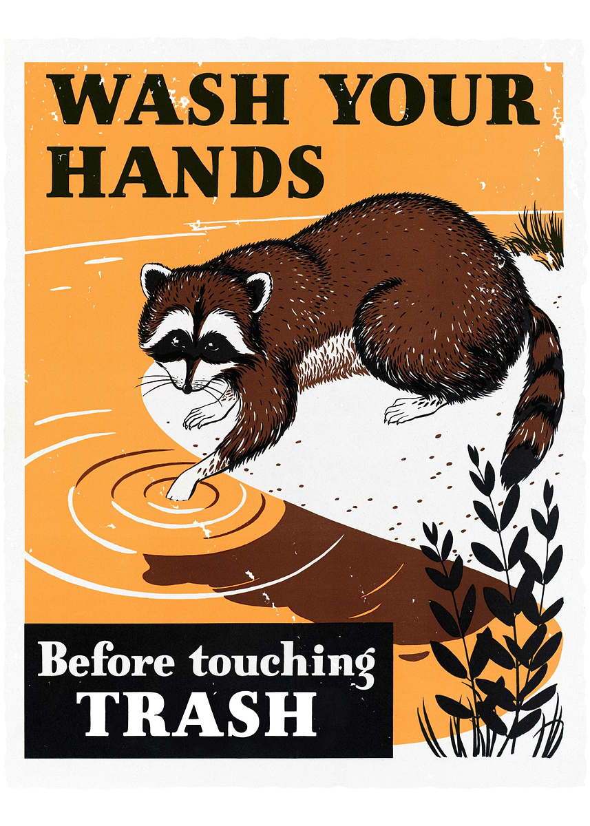 'Funny Vintage Trash Panda Raccoon Meme' Poster, picture, metal print ...