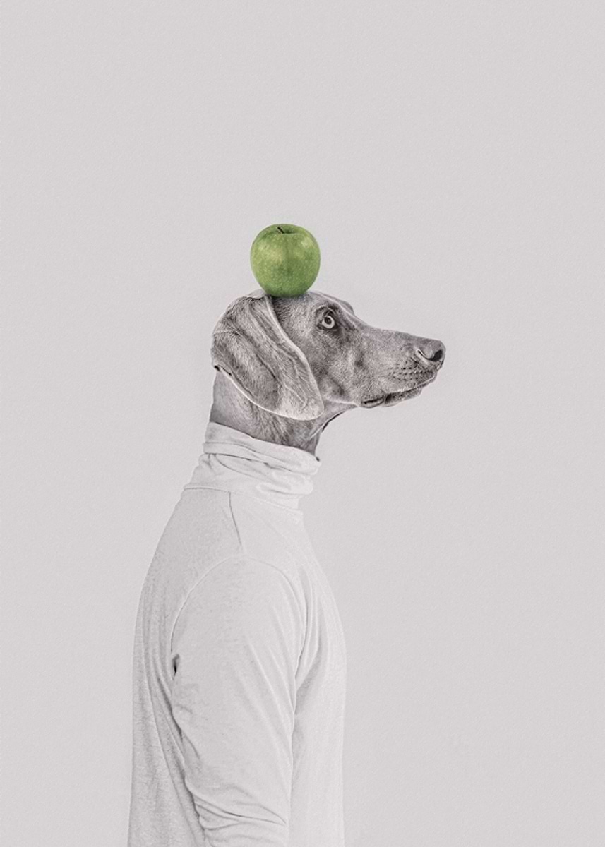 'Dog with Apple on Head' Poster, picture, metal print, paint by 9743 ...