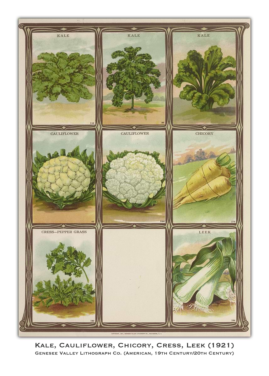 'Vintage Vegetable Chart' Poster, picture, metal print, paint by ...
