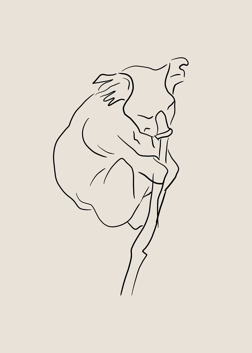 'Koala Line Art' Poster, picture, metal print, paint by Fábio Designs ...