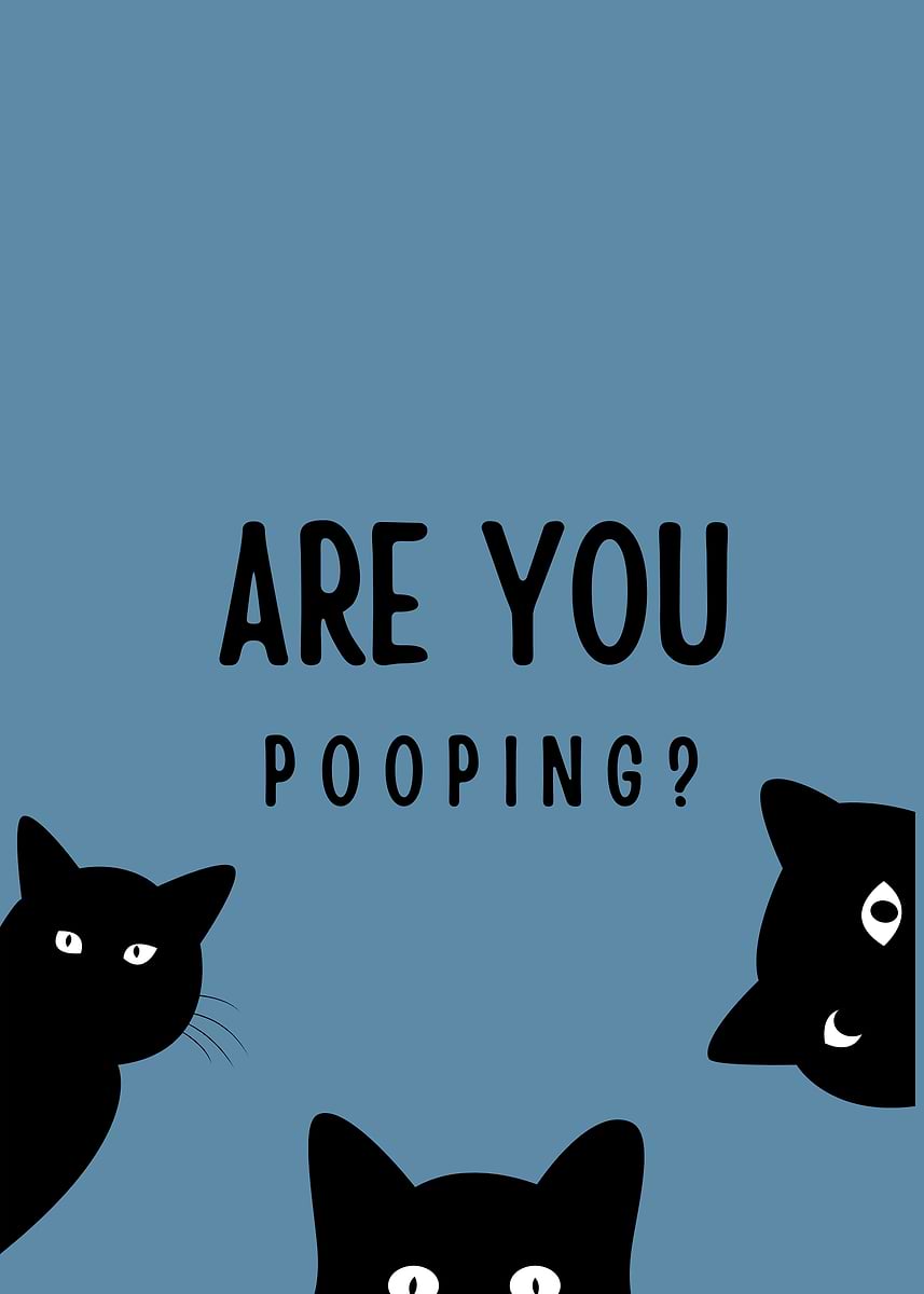 'Fat Cat Toilet are pooping' Poster, picture, metal print, paint by ...