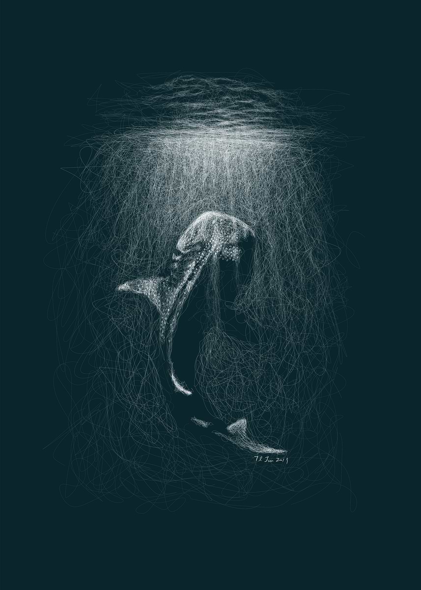 'Whale Shark Line Art' Poster, picture, metal print, paint by ...