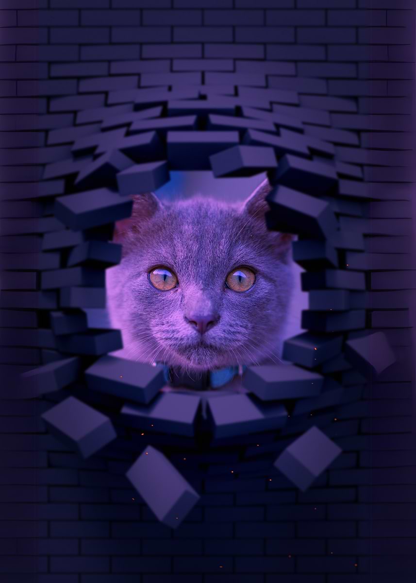 'Cat Breaking Through Brick Wall' Poster, picture, metal print, paint ...