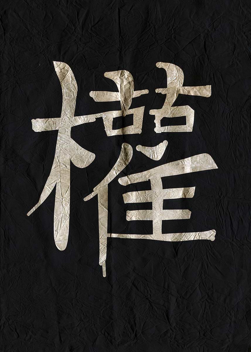 'Power, Japanese Kanji on Black Wrinkled Fabric' Poster, picture, metal ...