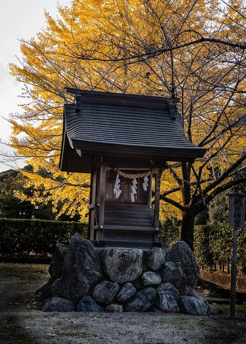 'Japanese Shrine with Autumn Tree' Poster, picture, metal print, paint ...