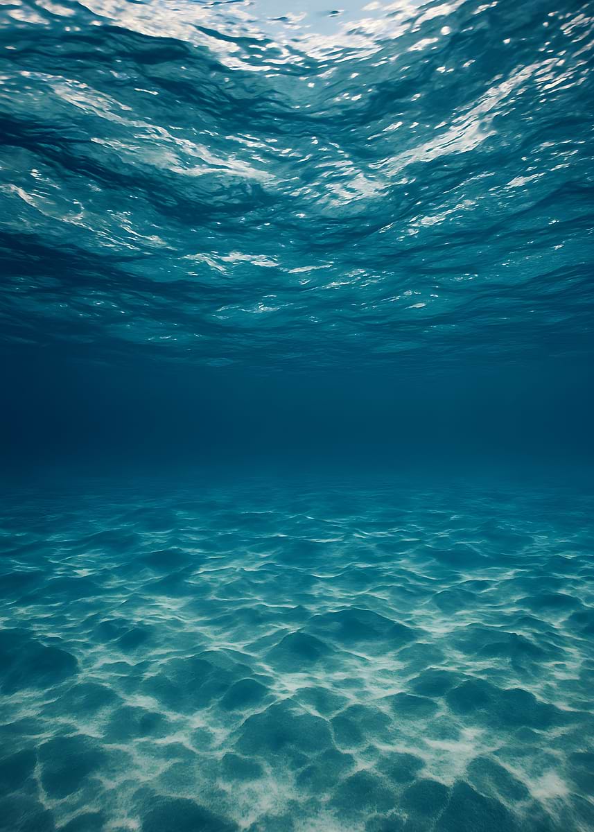 'Underwater Scene with Sandy Seabed' Poster, picture, metal print ...