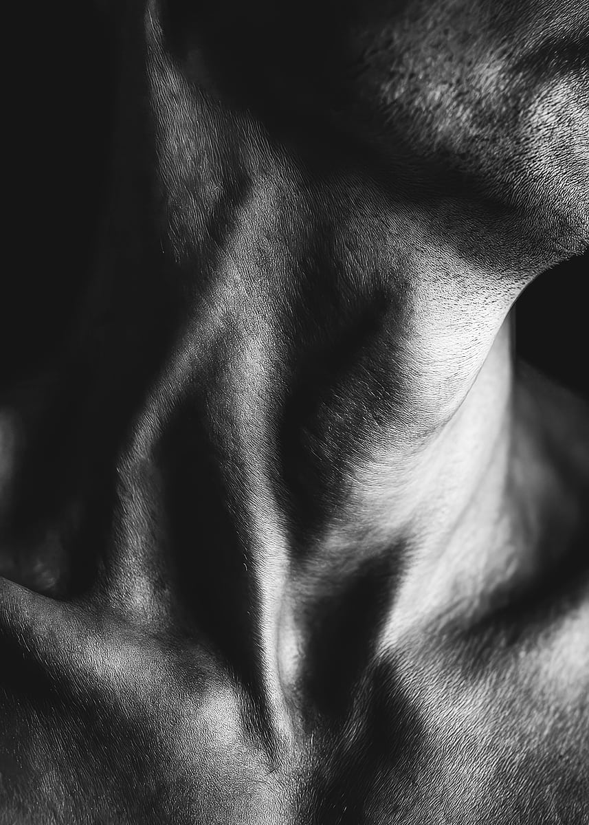 'Monochrome Neck and Shoulders Portrait' Poster, picture, metal print ...