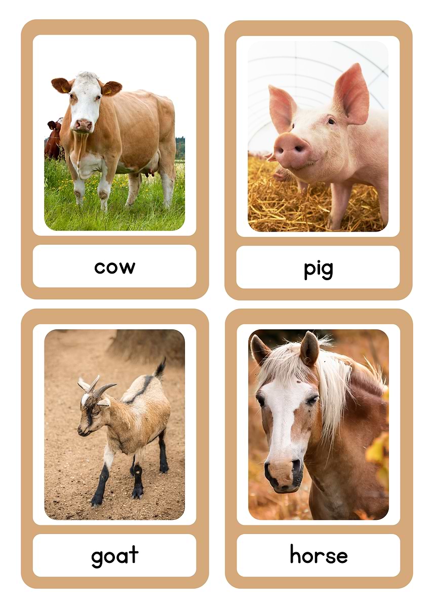 'Farm Animals Flashcards' Poster, picture, metal print, paint by Pixel ...