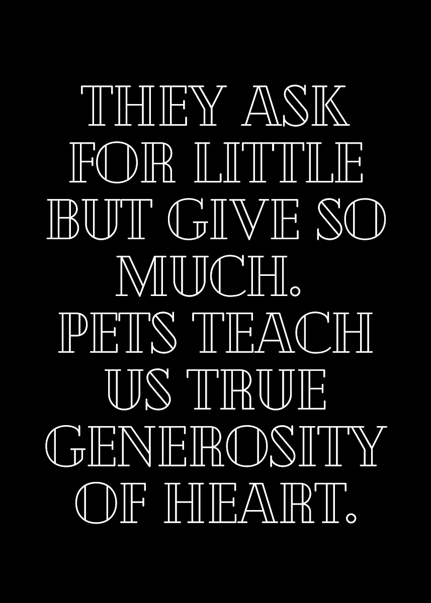 'Pets Teach Generosity Text Art' Poster, picture, metal print, paint by ...