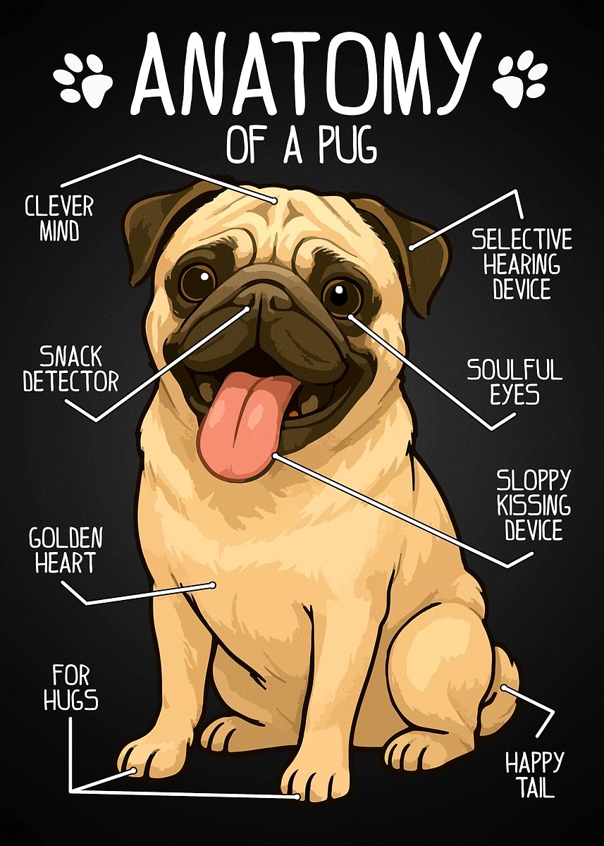 'Anatomy of a Pug Funny Poster' Poster, picture, metal print, paint by ...