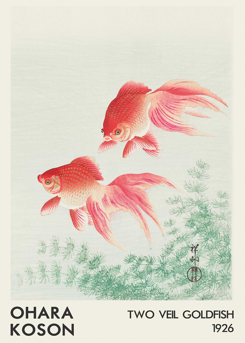 'Two Veil Goldfish by Ohara Koson' Poster, picture, metal print, paint ...