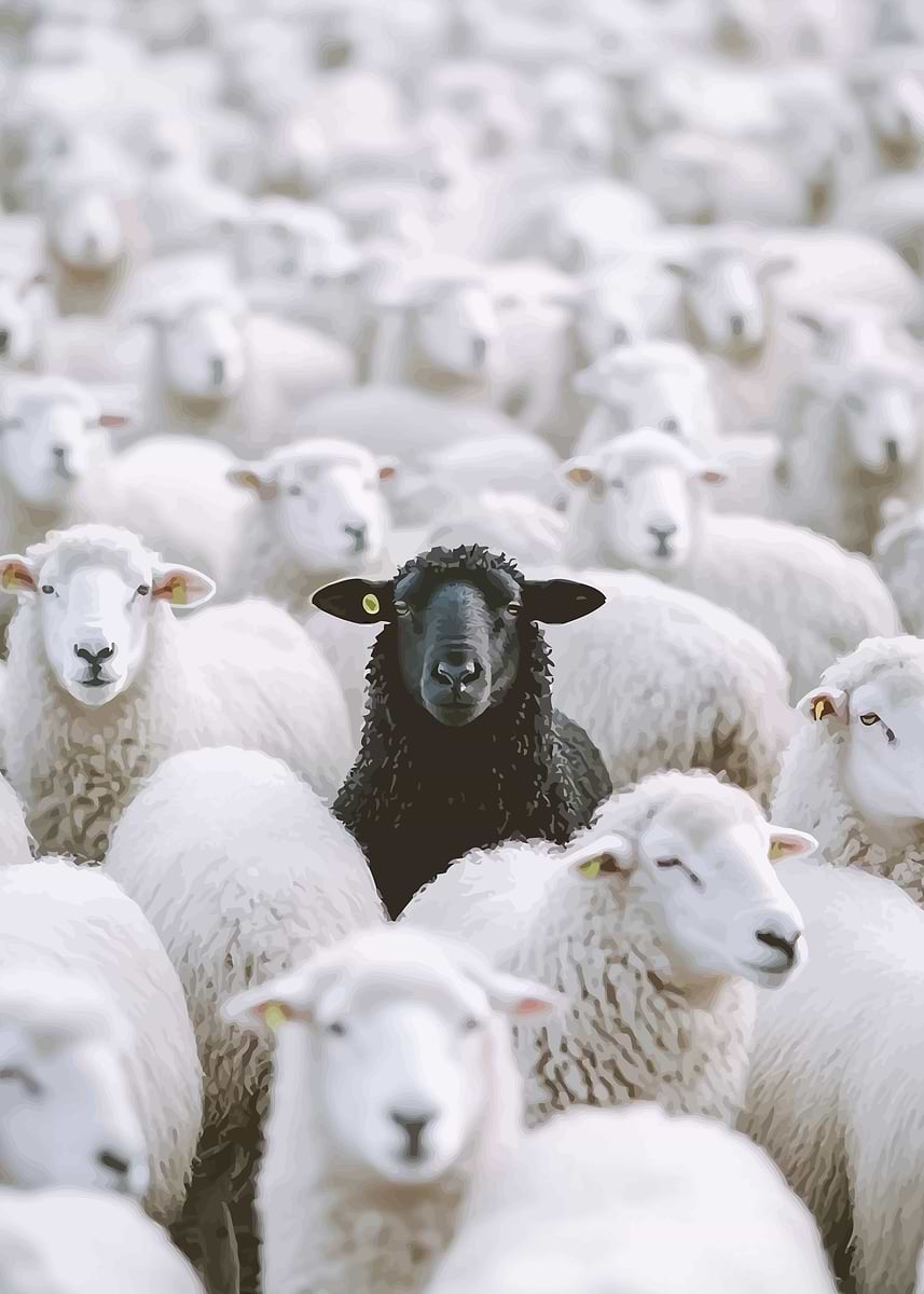'Black sheep in a white flock' Poster, picture, metal print, paint by ...