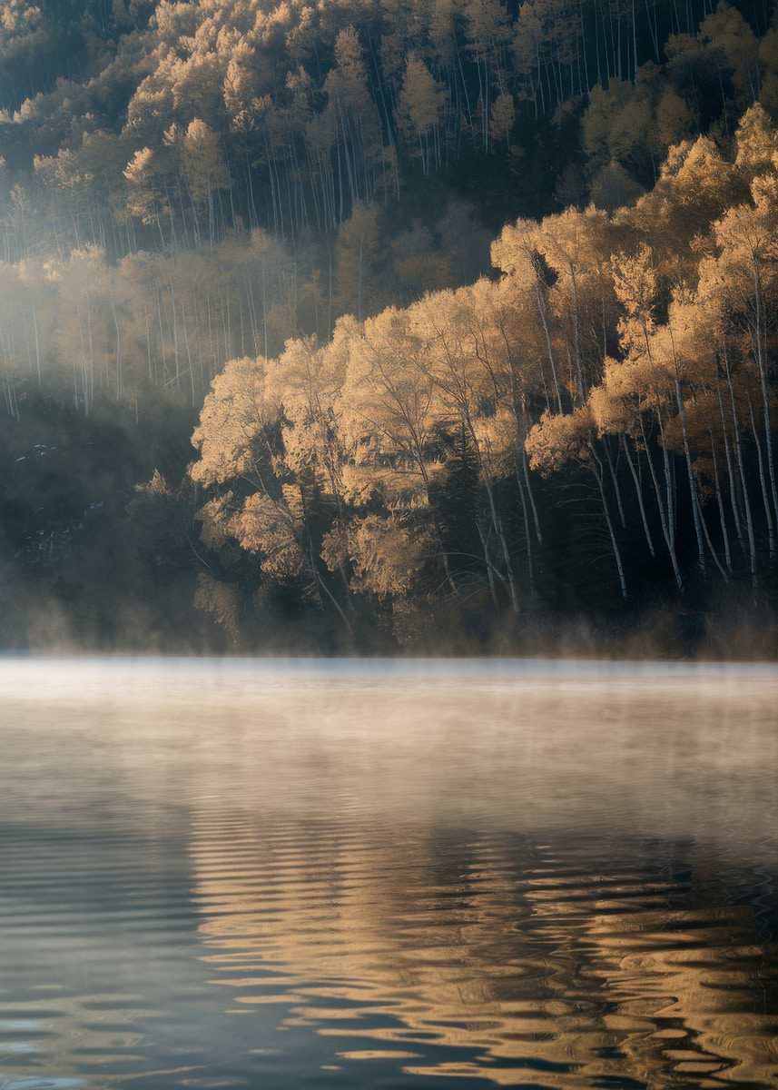 'Misty Lake and Autumnal Forest' Poster, picture, metal print, paint by ...
