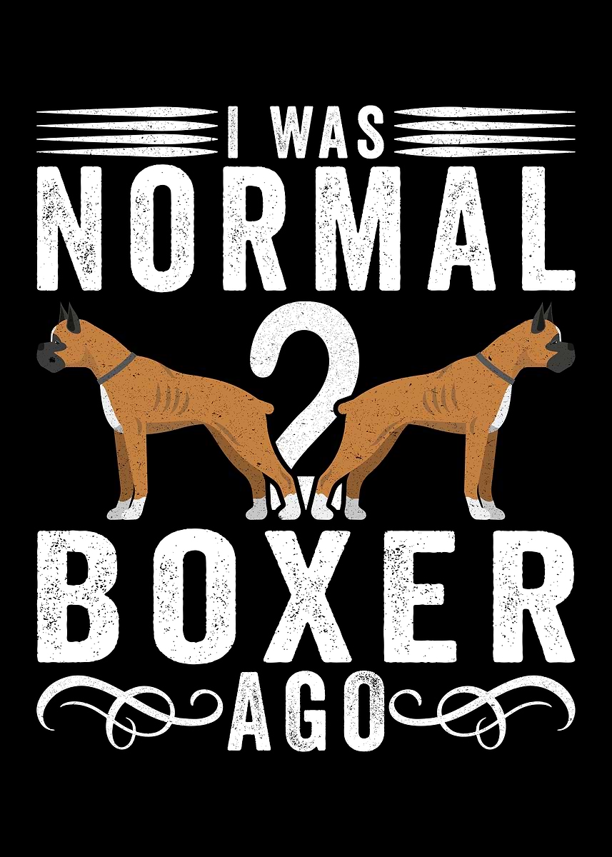 'I Was Normal 2 Boxers Ago' Poster, picture, metal print, paint by ...
