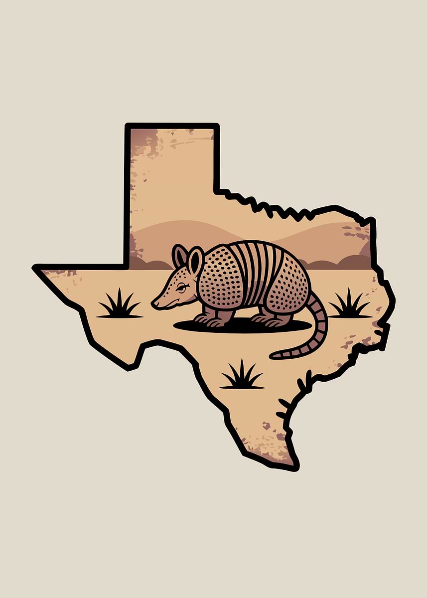 'Armadillo on Texas Map Illustration' Poster, picture, metal print ...