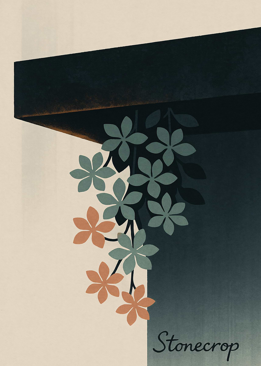 'Stonecrop Floral Illustration' Poster, picture, metal print, paint by ...