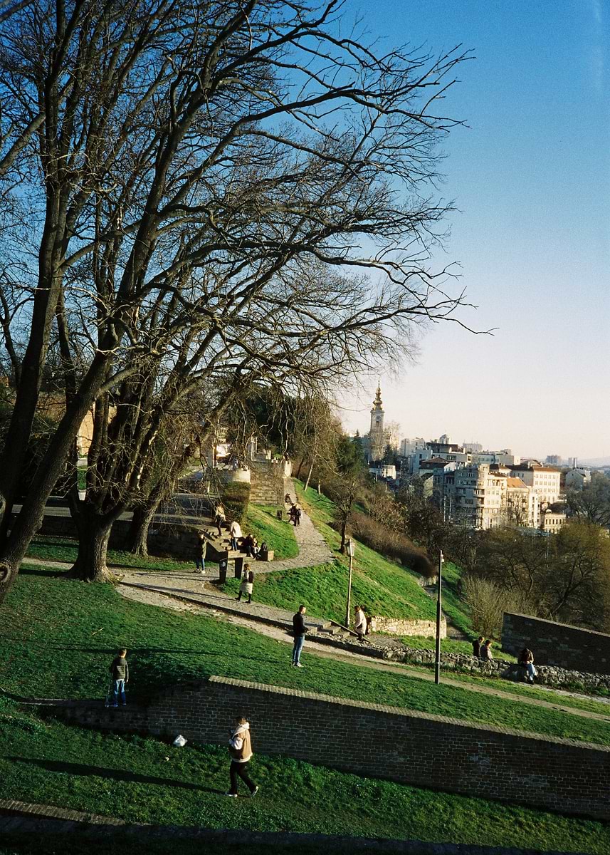 'Belgrade cityscape with park and people' Poster, picture, metal print ...