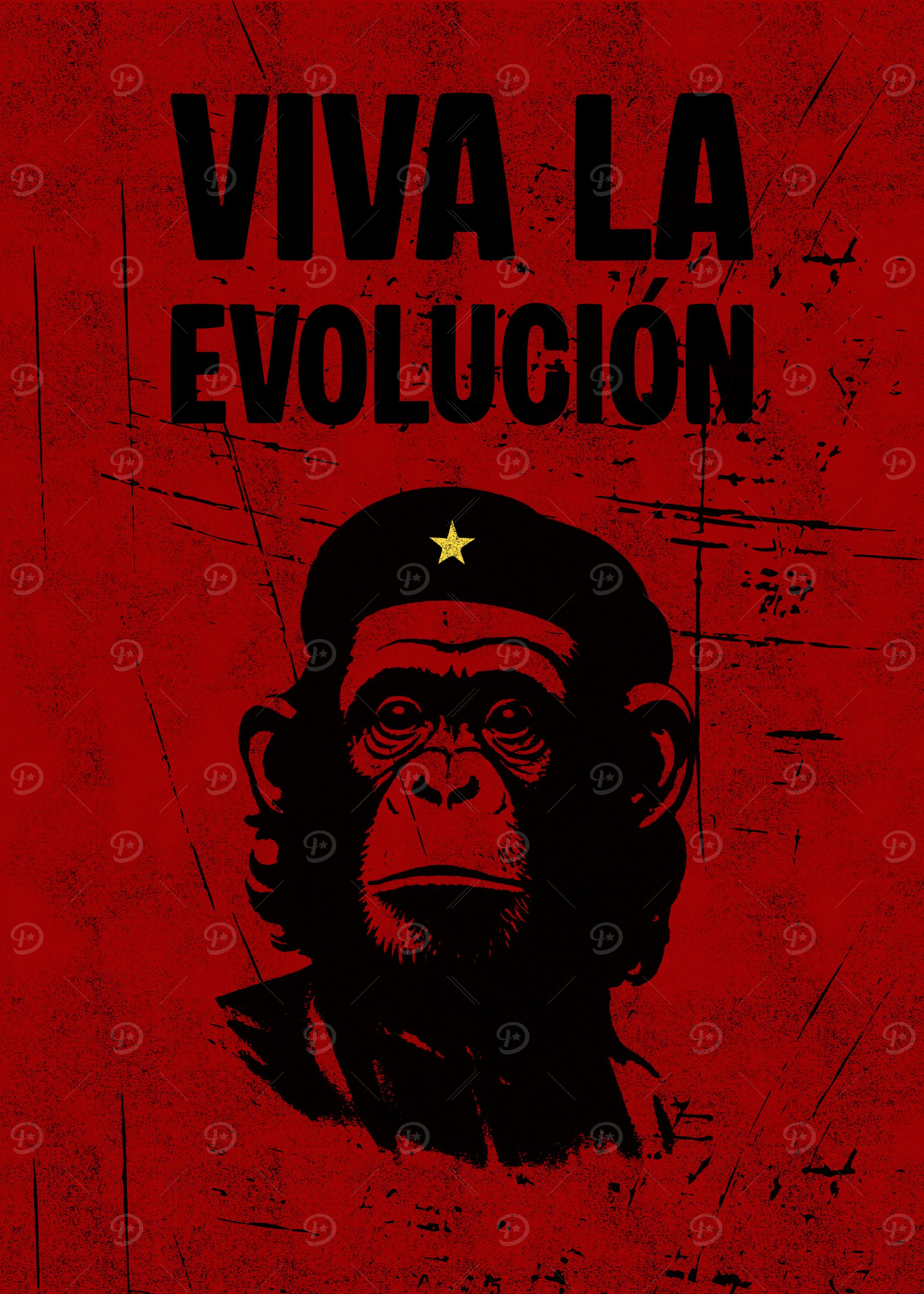 'Viva La Evolución – Monkey Revolution Pop Art' Poster, picture, metal ...