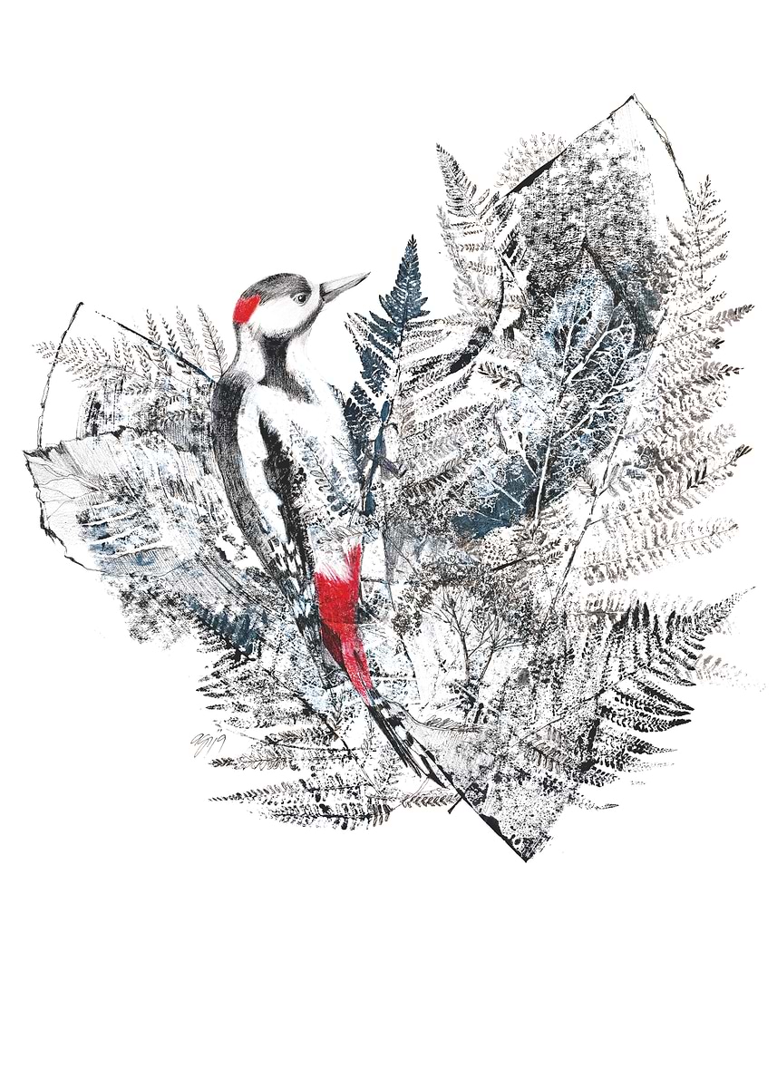 'Woodpecker and Ferns' Poster, picture, metal print, paint by Agija ...