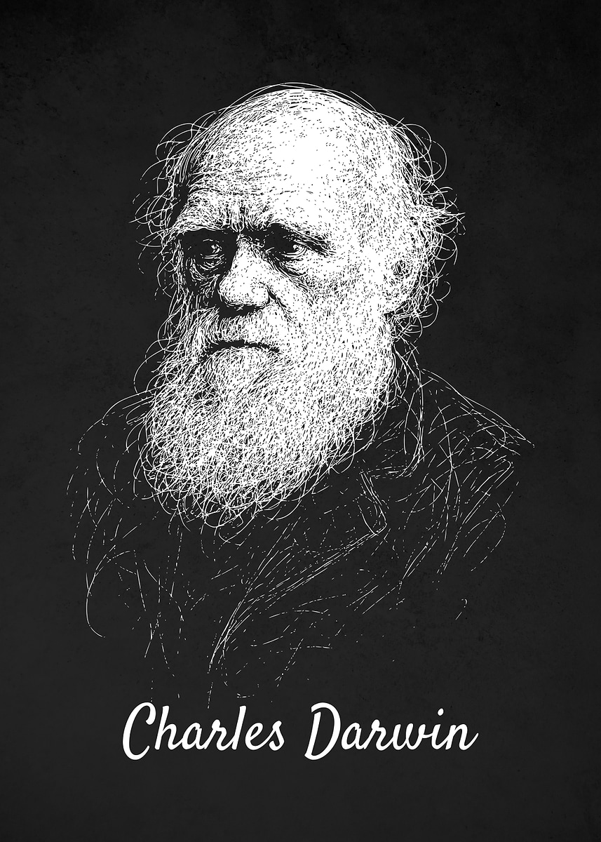 'Charles Darwin Portrait Scribble Art' Poster, picture, metal print ...
