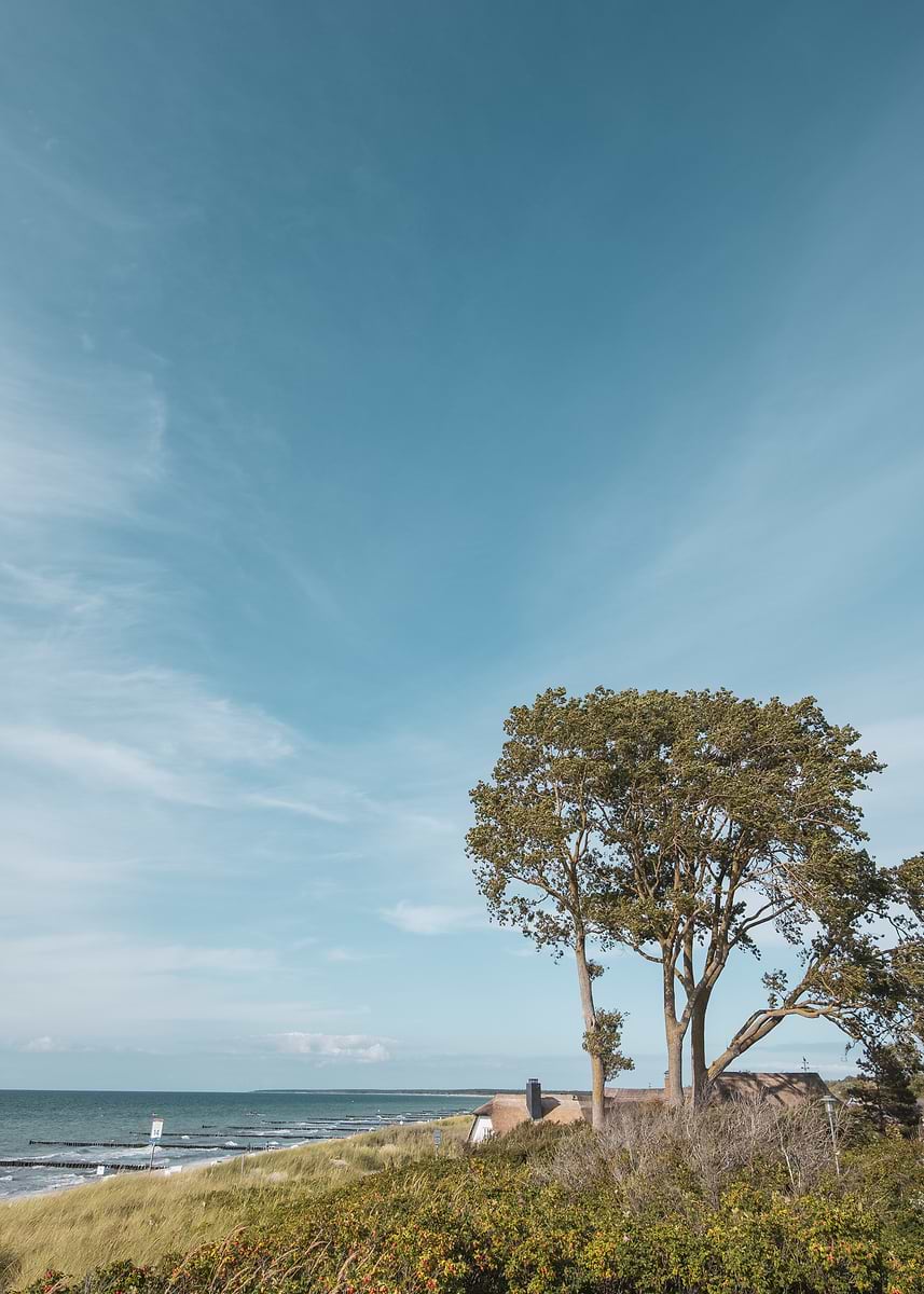 'Coastal Landscape with Tree and Cottage' Poster, picture, metal print ...