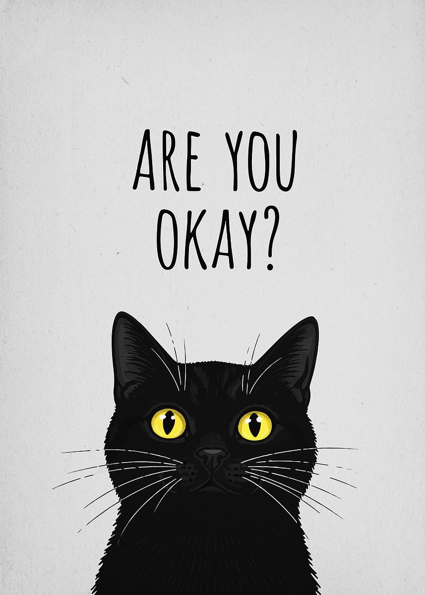 'Are You Okay? Black Cat Art' Poster, picture, metal print, paint by ...