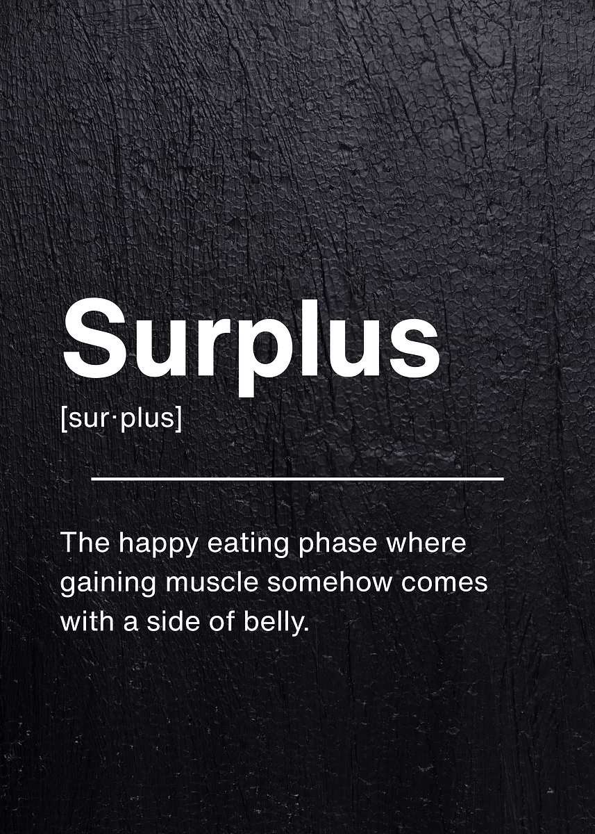'Surplus humorous Definition ' Poster, picture, metal print, paint by ...