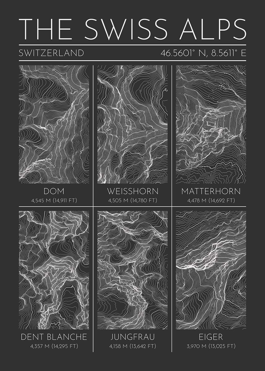 'The Swiss Alps Topographic Contour Map' Poster, picture, metal print ...