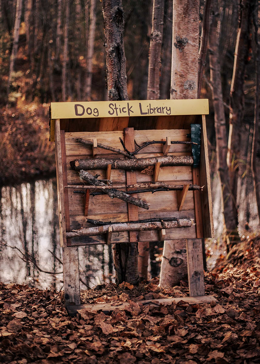 'Dog Stick Library ' Poster, picture, metal print, paint by Hannah ...