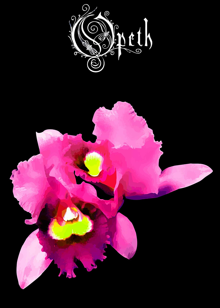 'Opeth Orchid Album Cover Art' Poster, picture, metal print, paint by ...