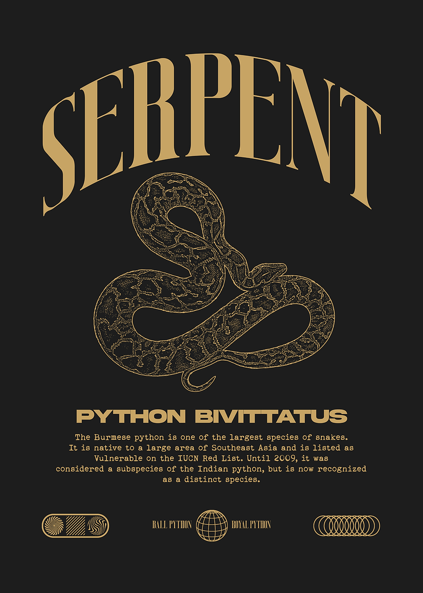 'Burmese Python Bivittatus Reptile Keeper' Poster, picture, metal print ...