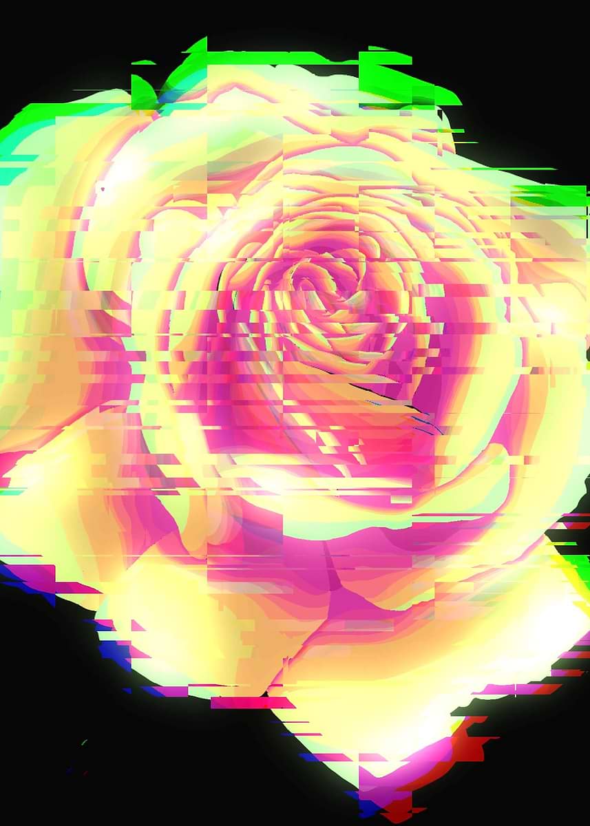 'Glitch Art Rose' Poster, picture, metal print, paint by ...
