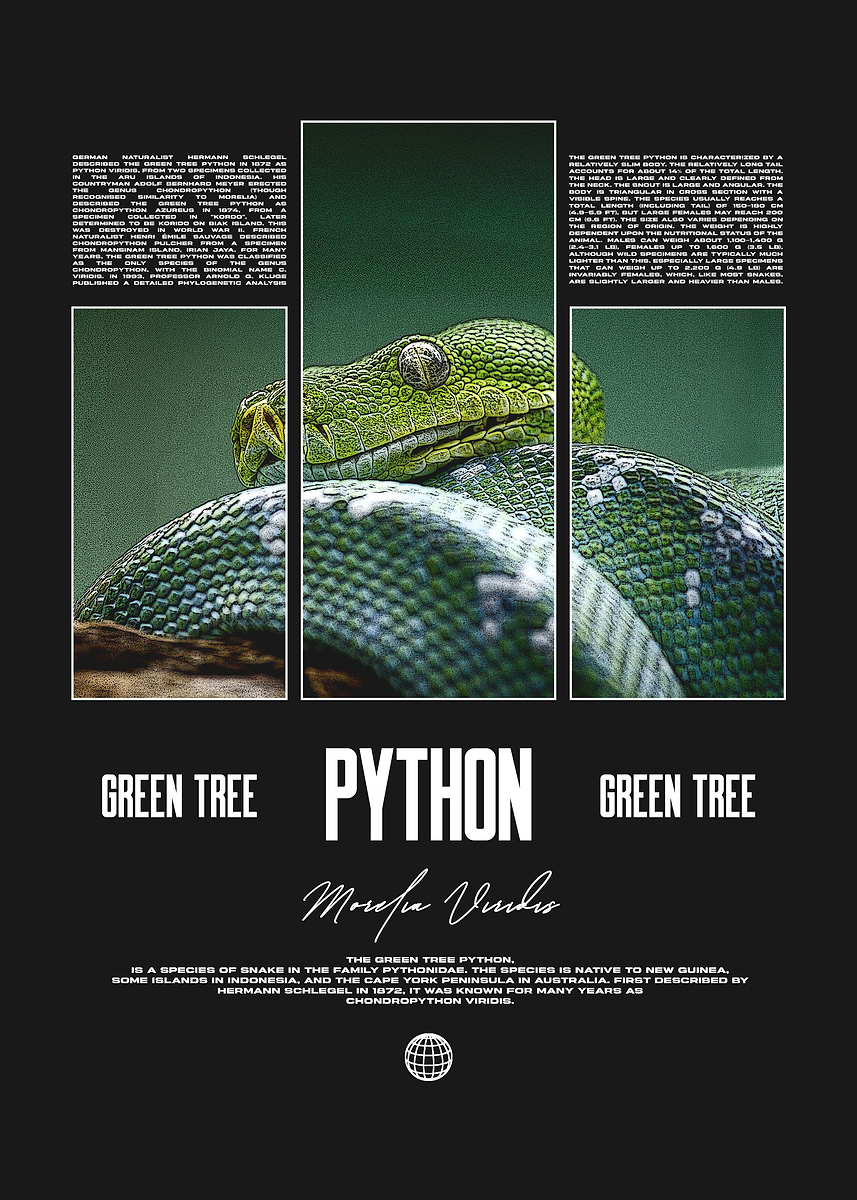 'Green Tree Python Modern Reptile Keeper' Poster, picture, metal print ...