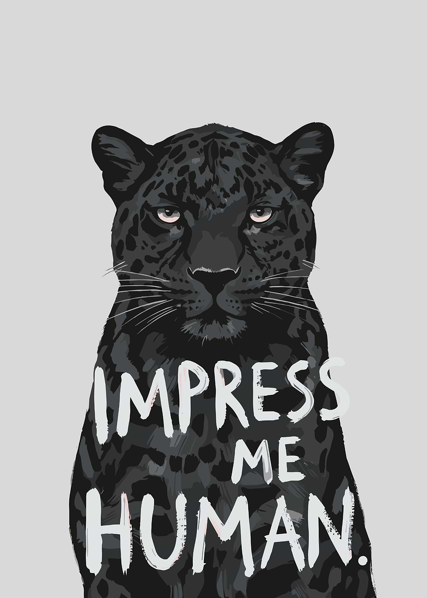 'Impress Me Human Black Panther Art' Poster, picture, metal print ...