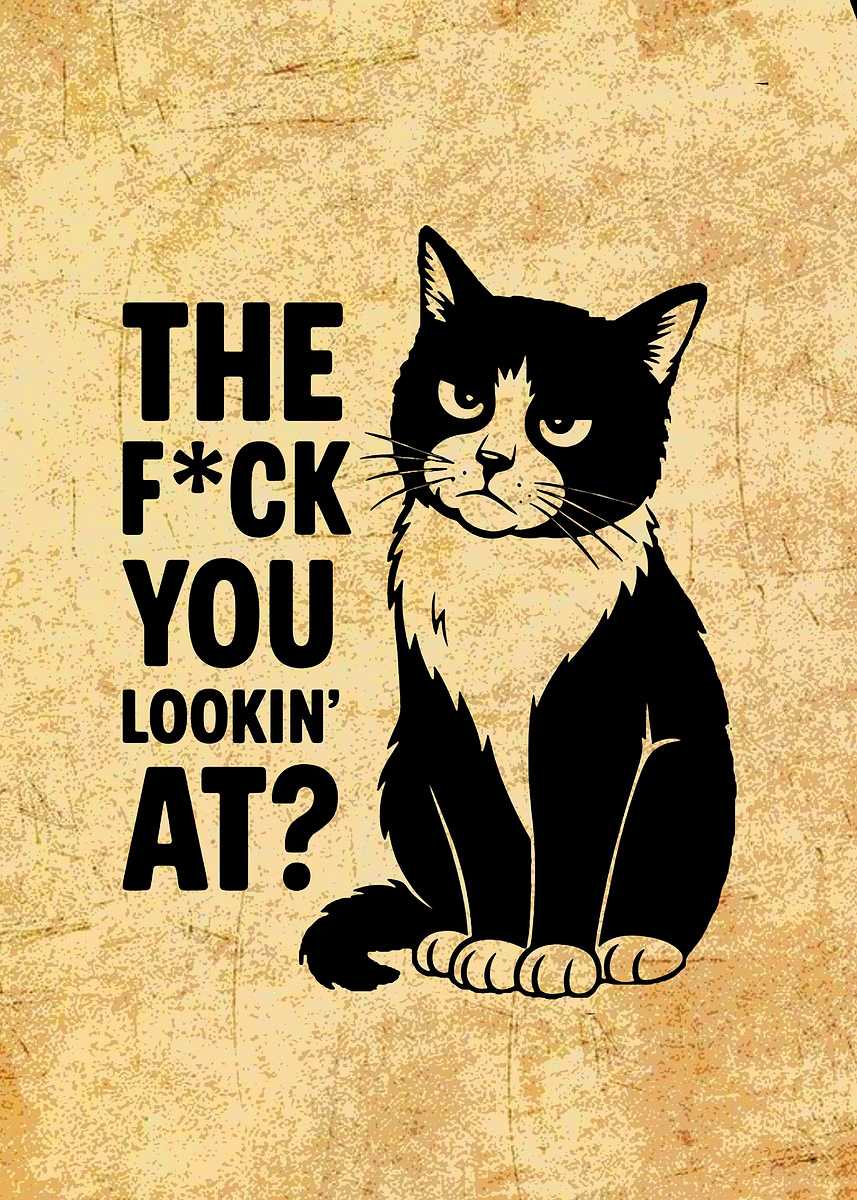 'Grumpy Cat Rude Question Poster' Poster, picture, metal print, paint ...