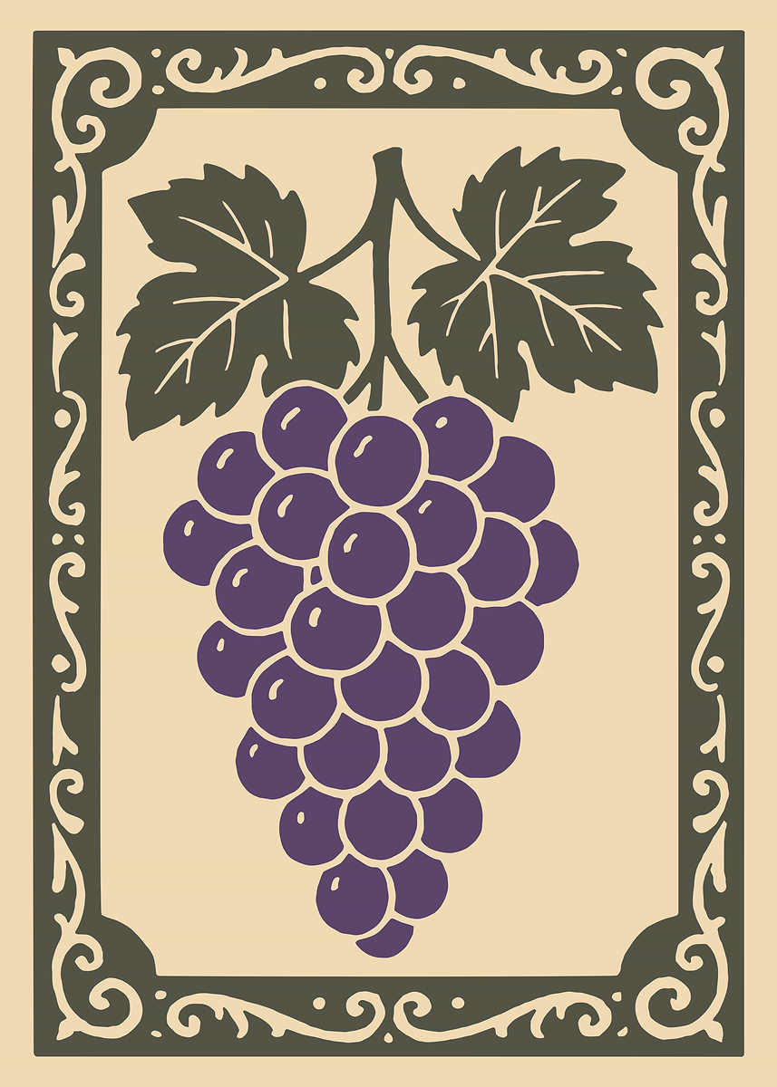 'Purple Grapes Illustration with Decorative Border' Poster, picture ...