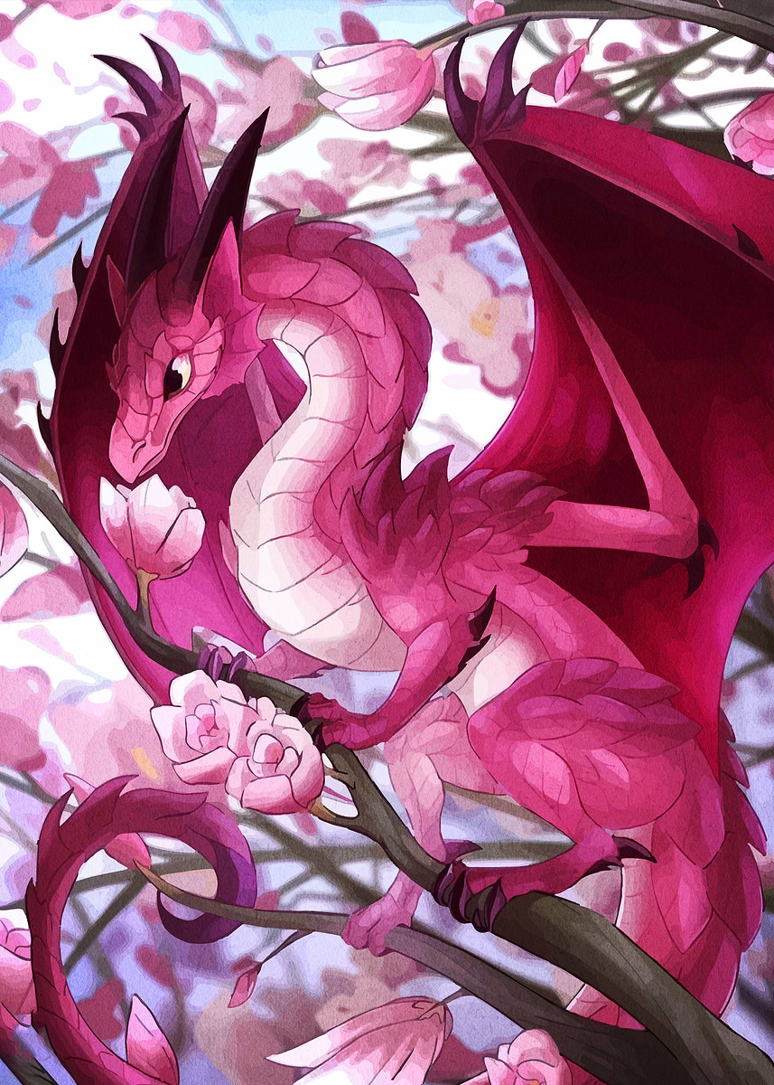 'Pink Dragon with Cherry Blossoms' Poster, picture, metal print, paint ...